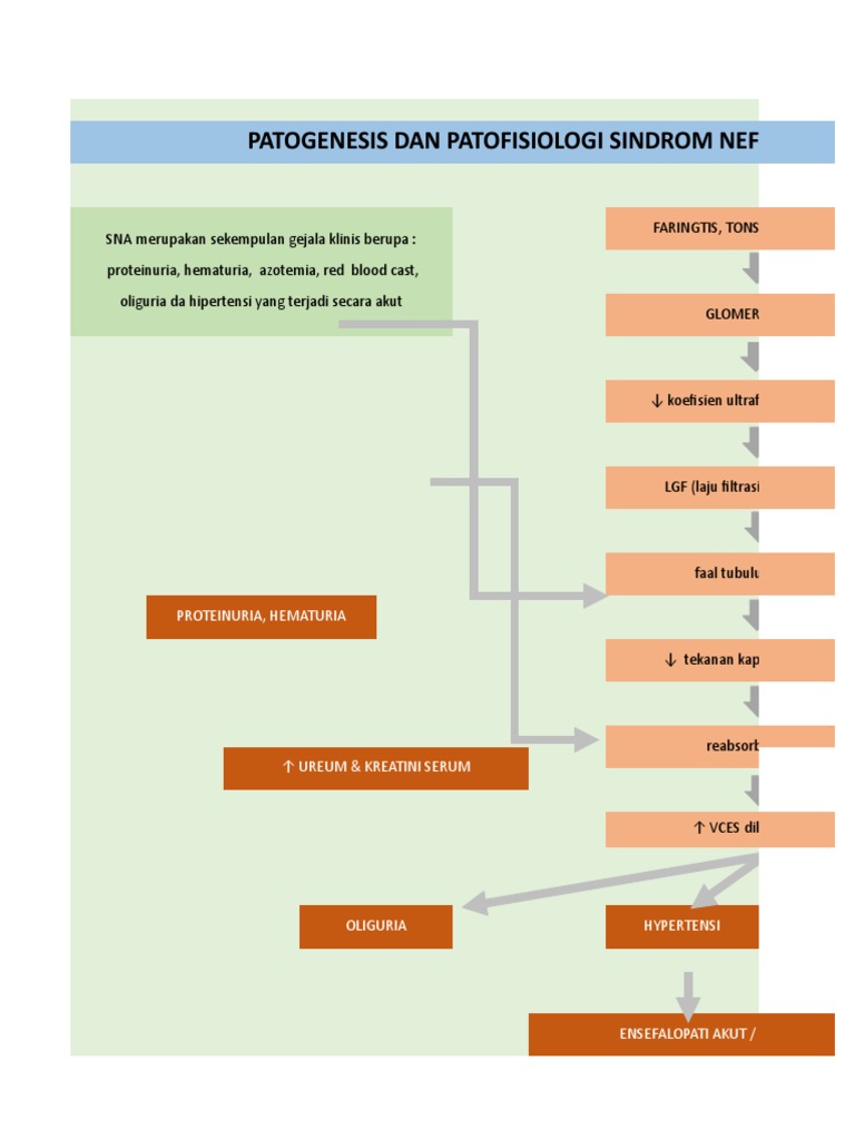 SN Dan SNA PATHWAY | PDF
