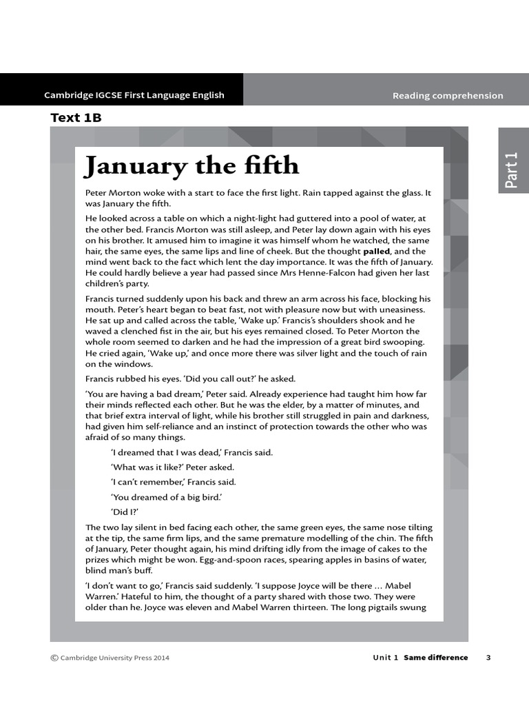 Excerpt | PDF | Reading Comprehension