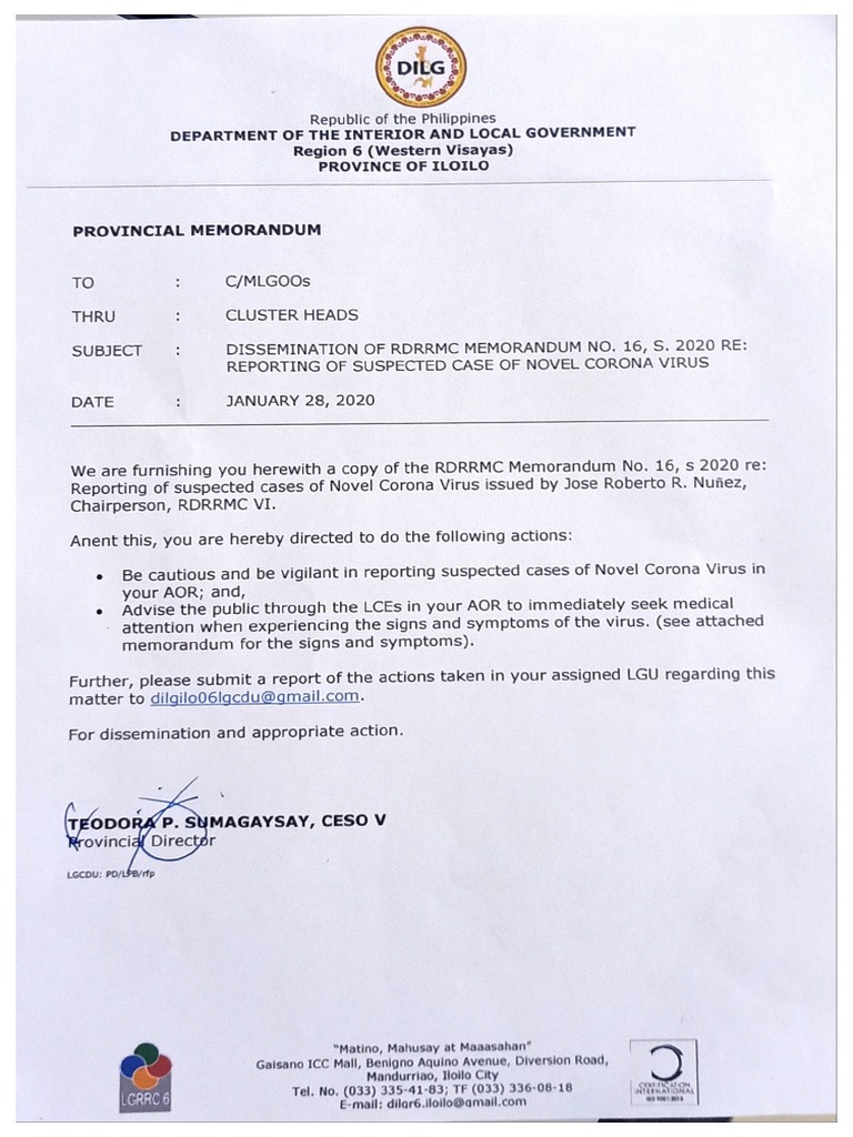 Dilg MC 2020-06 | PDF