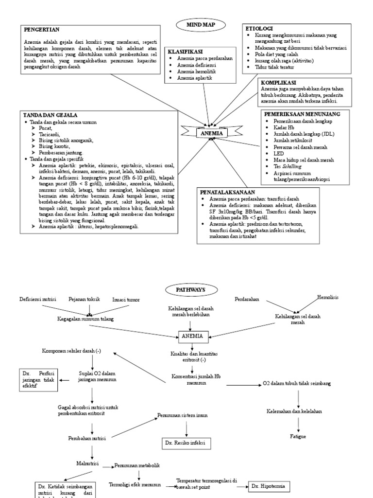Anemia Mindmap | PDF
