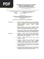 FORMAT RUK - RPK Sesuai PMK 44 Th. 2016 (2023) | PDF