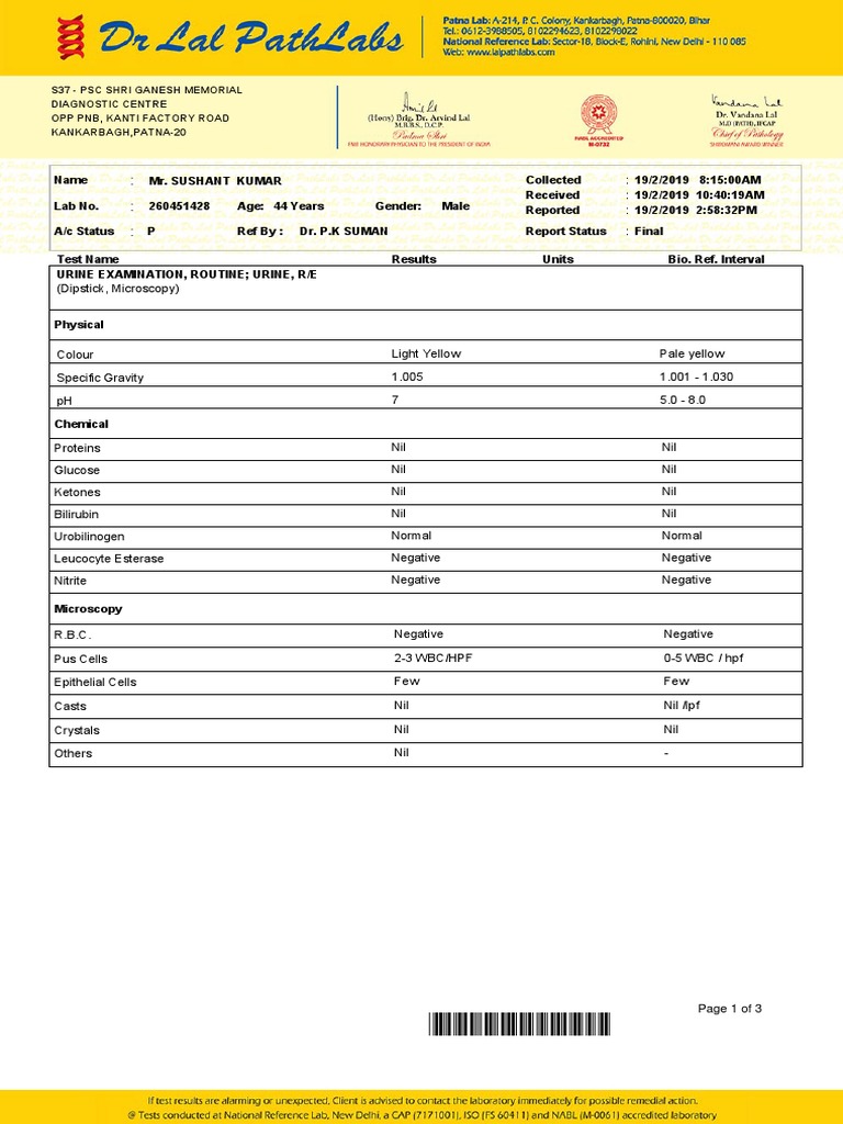Path Lab Report | PDF | Pathology | Medical Specialties