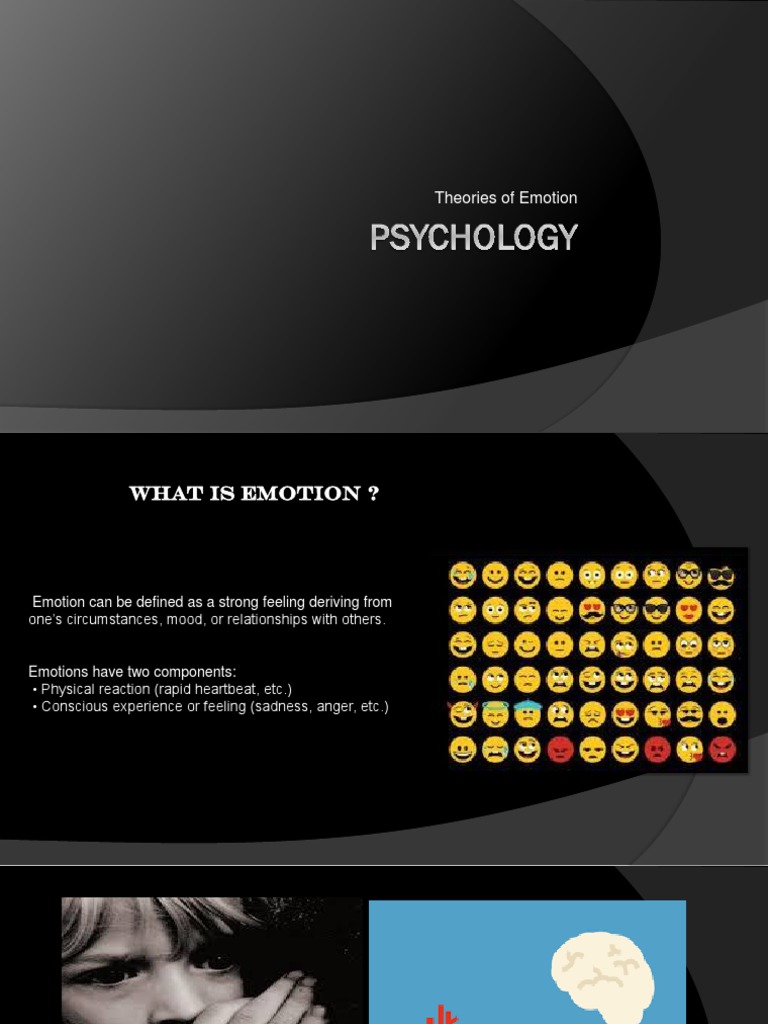 Theory of Emotion | PDF | Emotions | Behavioural Sciences