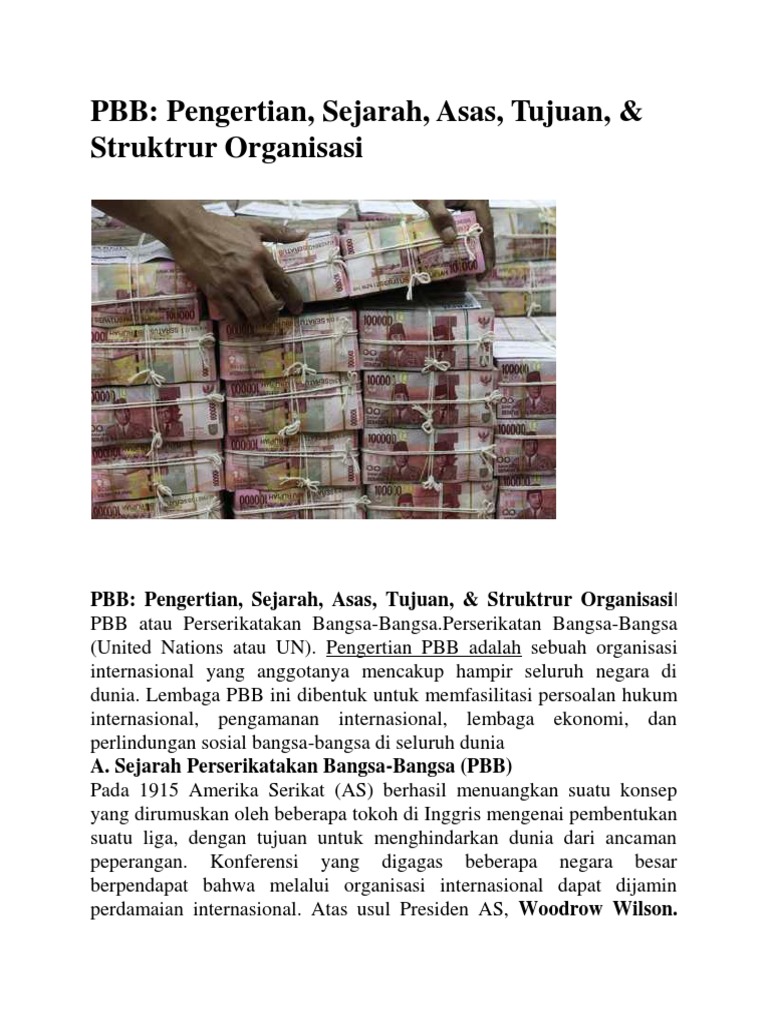 Struktur Organisasi PBB dan Fungsinya | PDF