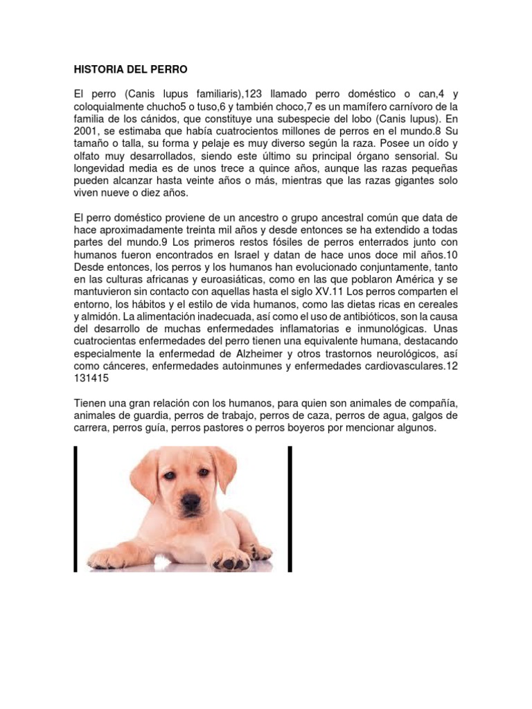 Historia Del Perro | PDF | Perros | Organismos