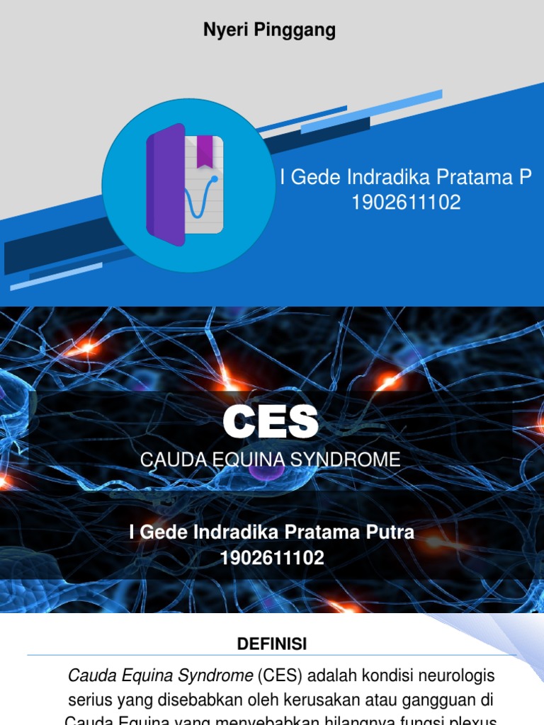 Cauda Equina Syndrome: Definisi dan Gejala | PDF