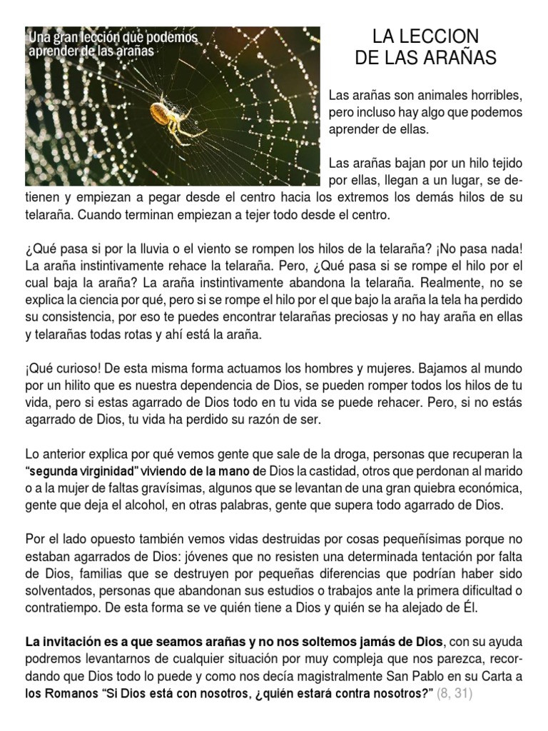 La Leccion de Las Arañas | PDF | Araña | Telaraña