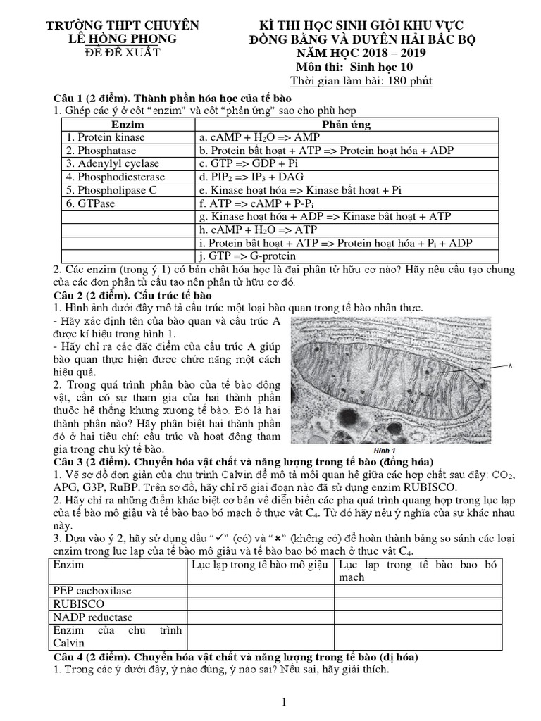 LHP ND Sinh10 | PDF