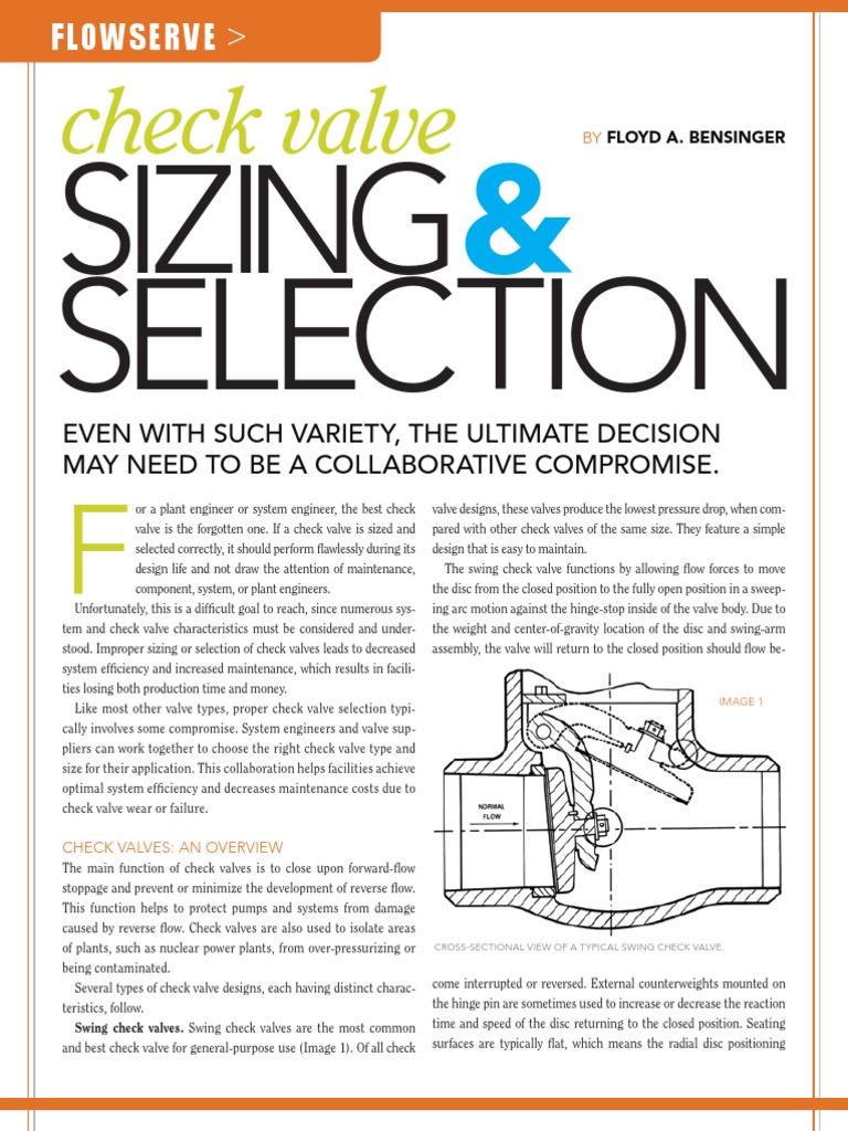 Check Valve Sizing and Selection | PDF | Valve | Hydraulics