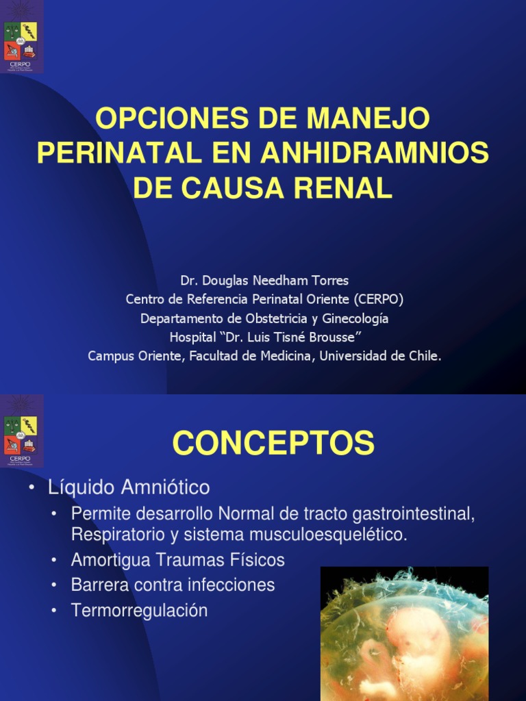 Manejo Anhidramnios DR Douglas Needham Torres - Archivo | PDF | Riñón ...