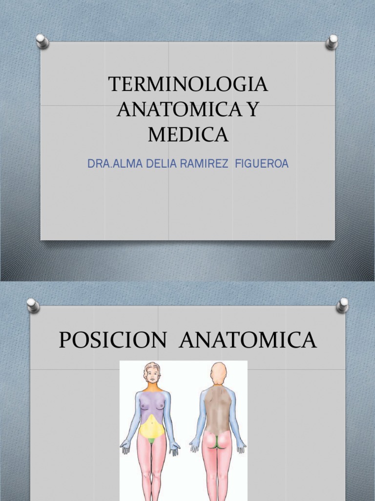 Terminologia Anatomica y Medica | PDF | Términos anatómicos de ...