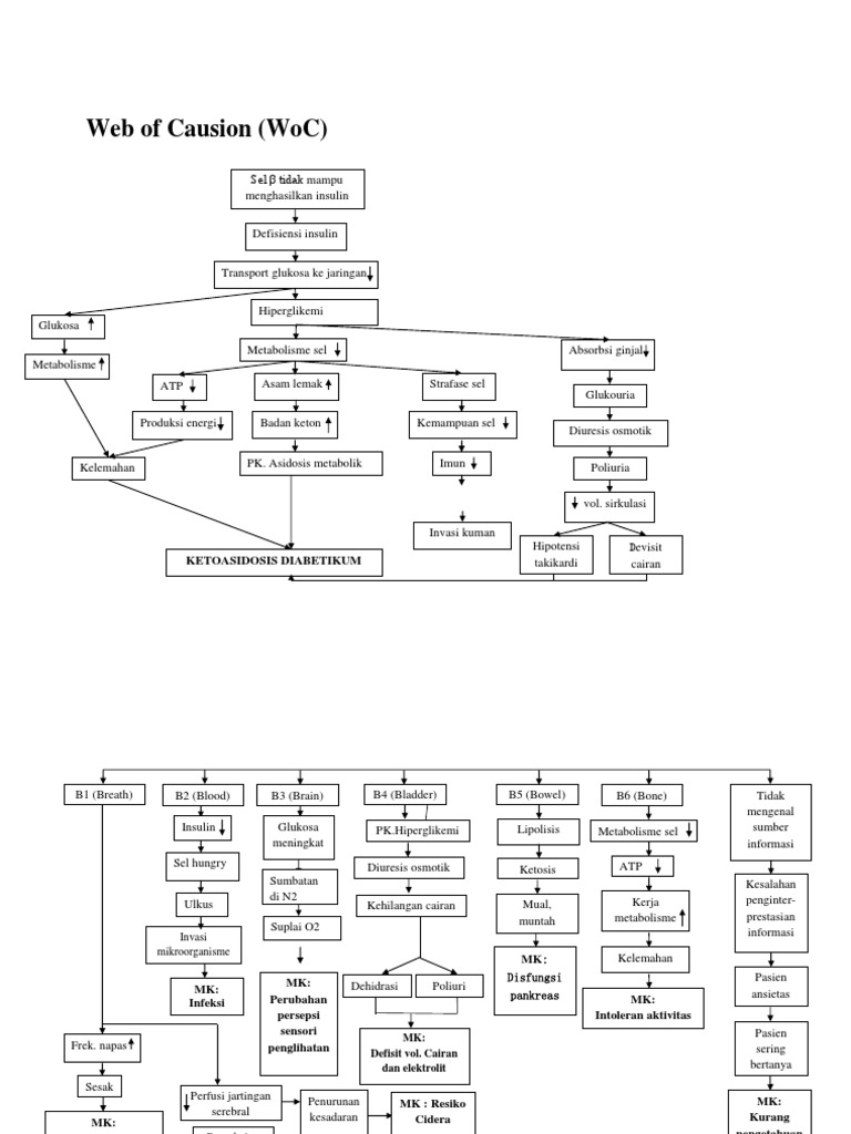 WoC: Algoritma Ketoasidosis Diabetik | PDF