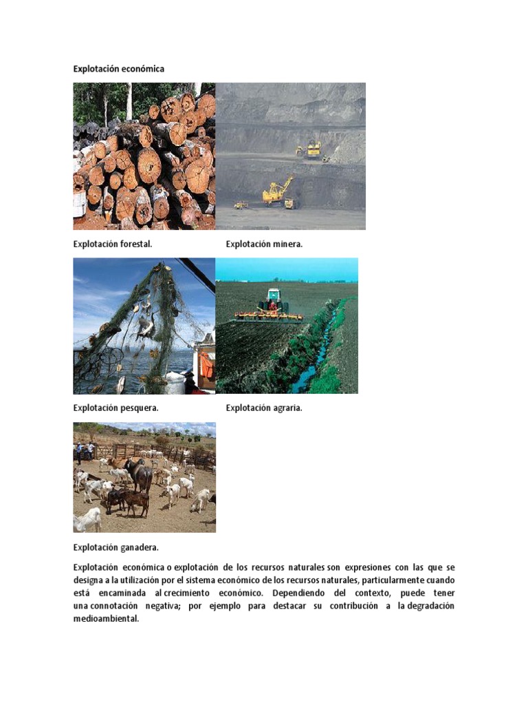 Explotación económica | PDF | Entorno natural | Economias