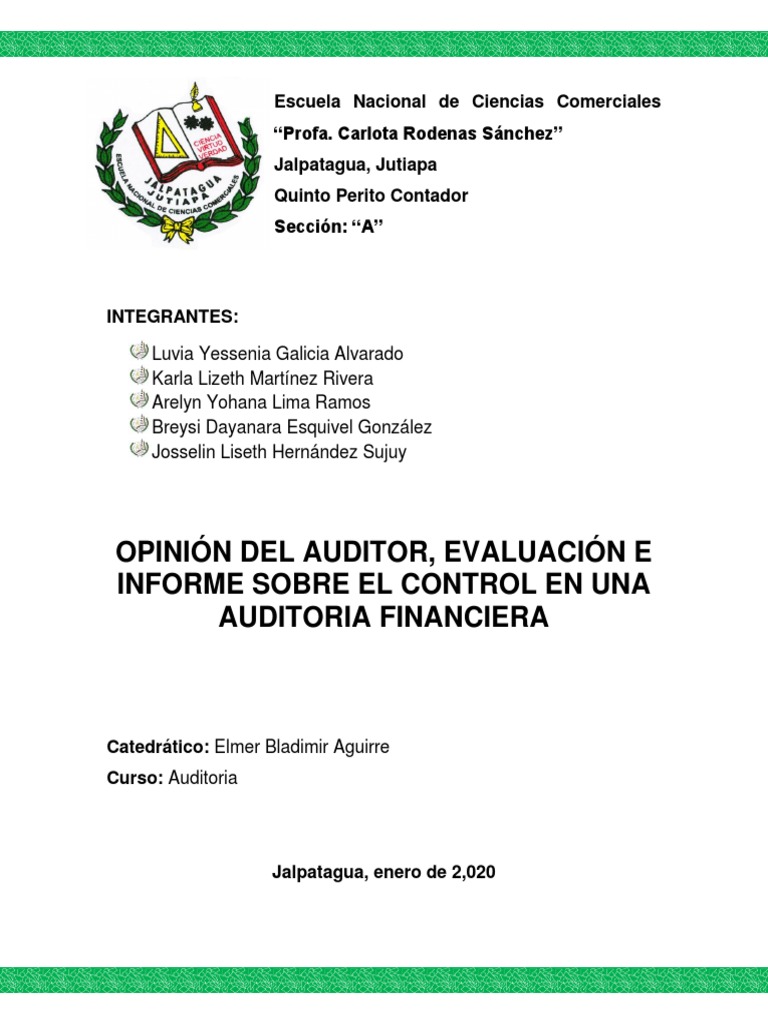 Opinión Del Auditor, Evaluación e Informe Sobre El Control en Una Auditoria Financiera ...