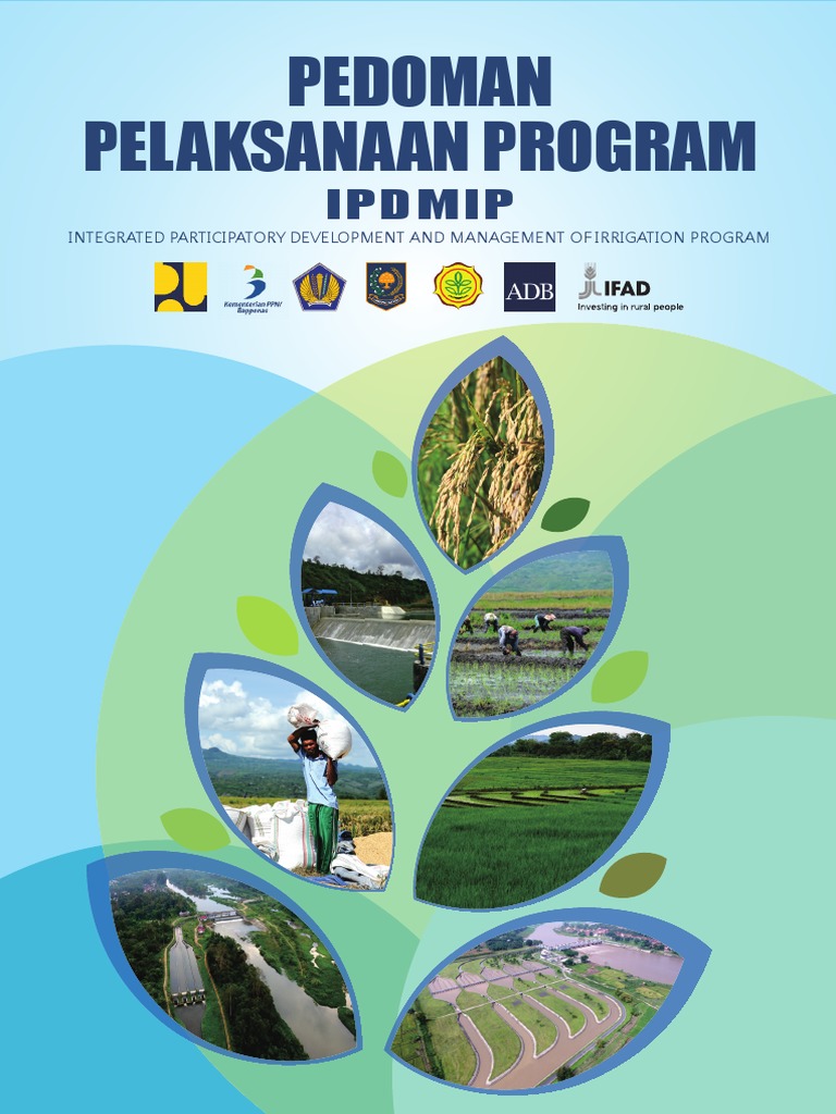 Panduan IPDMIP PDF | PDF