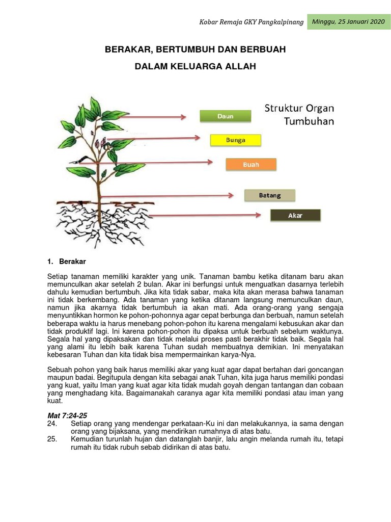 BERAKAR, BERTUMBUH DAN BERBUAH | PDF