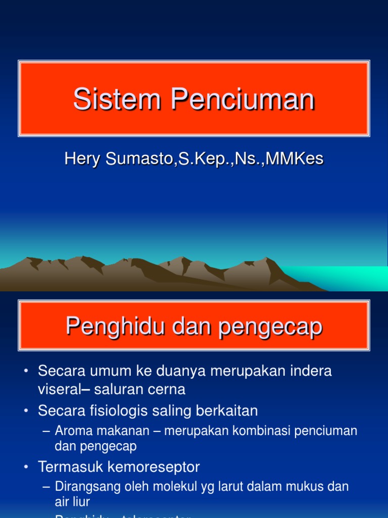 Anatomi Sistem Penciuman | PDF