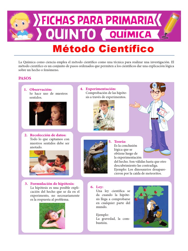 Pasos Del Método Científico para Quinto de Primaria | PDF | Método ...