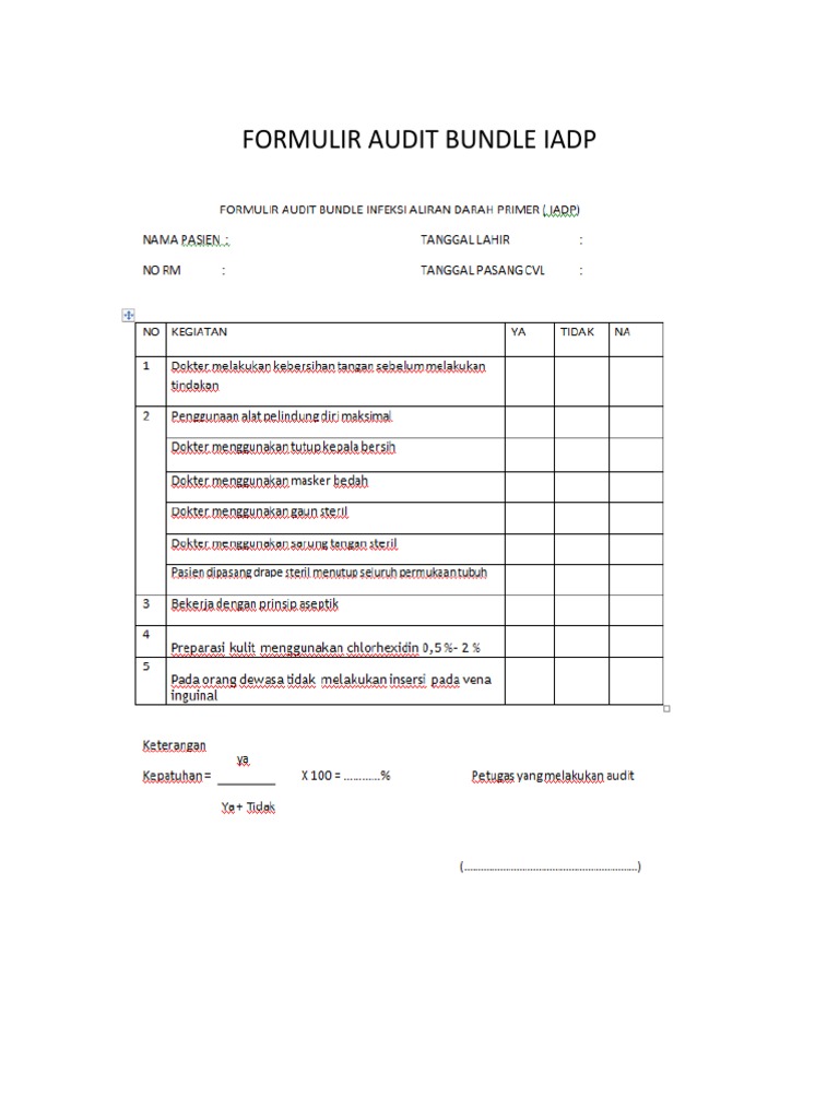 FORMULIR AUDIT BUNDLE HAIs | PDF
