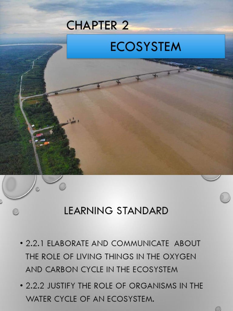 Form 2 Chapter 2 Nutrient Cycle | PDF | Carbon Cycle | Ecosystem
