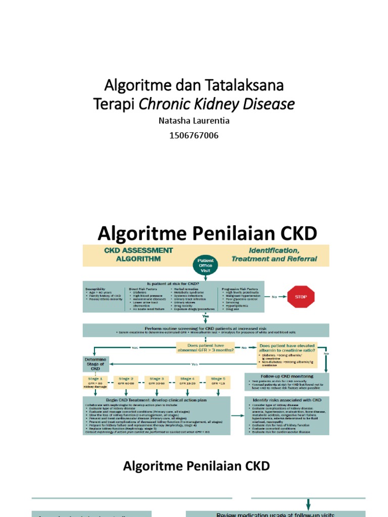 Algoritme Dan Tatalaksana CKD | PDF