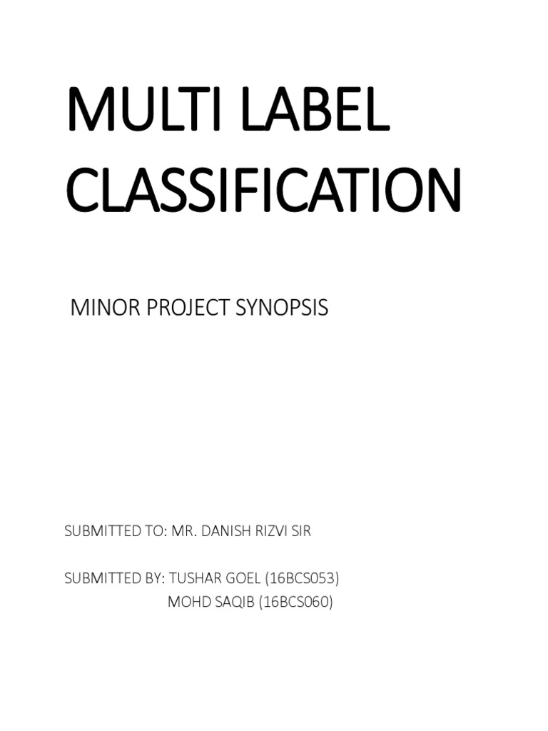 Multi Label Classification Pdf Statistical Classification Futurology
