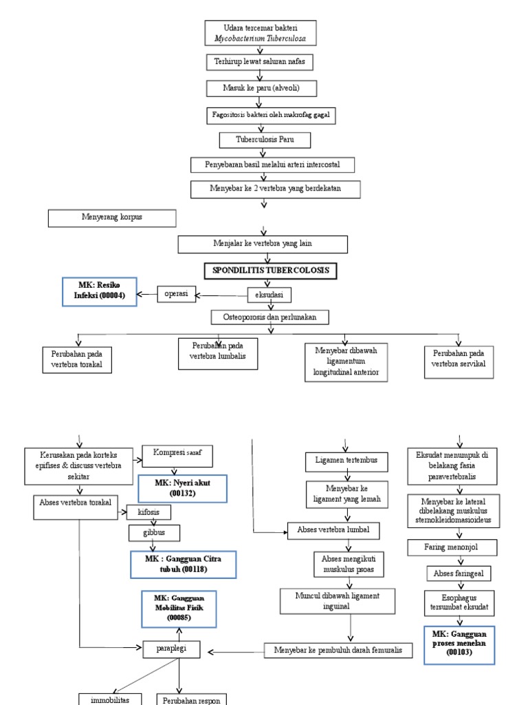 Woc Spondilitis TB | PDF