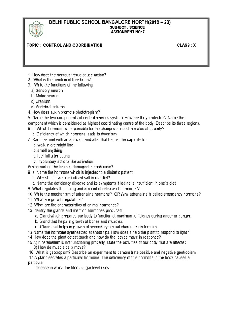 Control and Coordination Revision Worksheet 1 | PDF | Hormone | Human Body