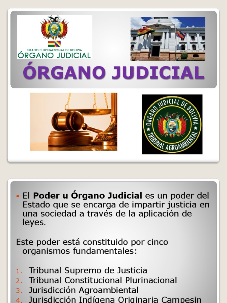 Órgano Judicial Diapositivas | PDF | Jurisdicción | Constitución