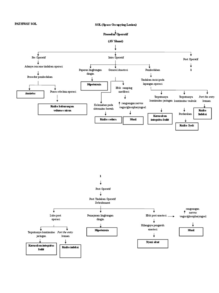 Pathway Risiko Infeksi Operasi SOL | PDF