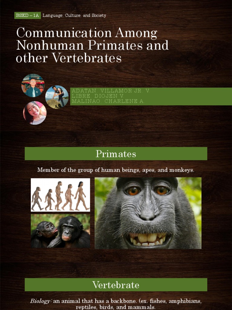 Communication Among Nonhuman Primates and Other Vertibrates | PDF
