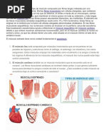Ejemplos de Hipocorístico | PDF