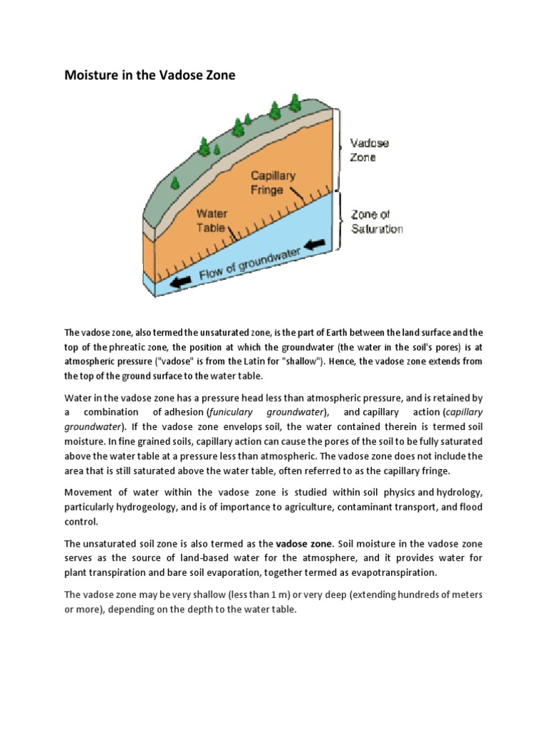 Moisture in The Vadose Zone | PDF | Groundwater | Soil Science