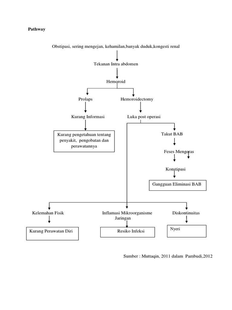 Pathway Hemoroid | PDF