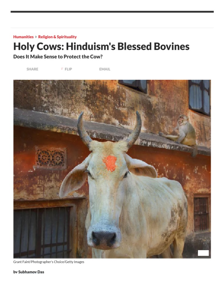 Sacred Cows in Hindu Culture | PDF | Cattle | Http Cookie
