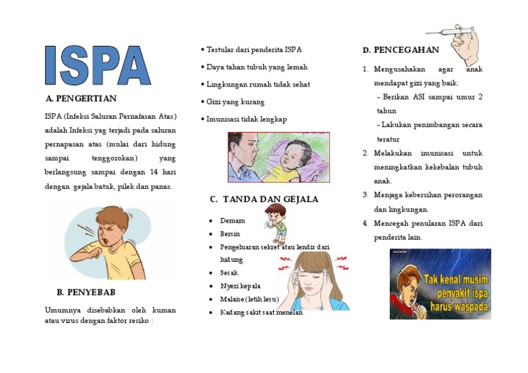 Leaflet Ispa | PDF