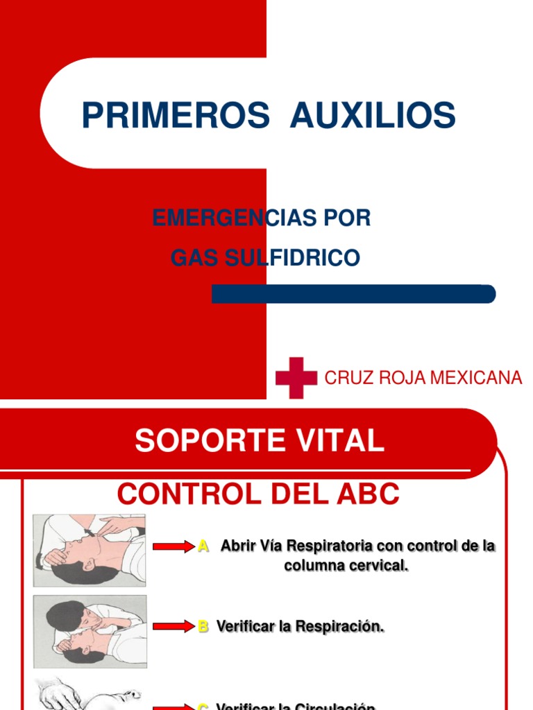 H2S | PDF | Reanimación cardiopulmonar | Enfermedades y trastornos