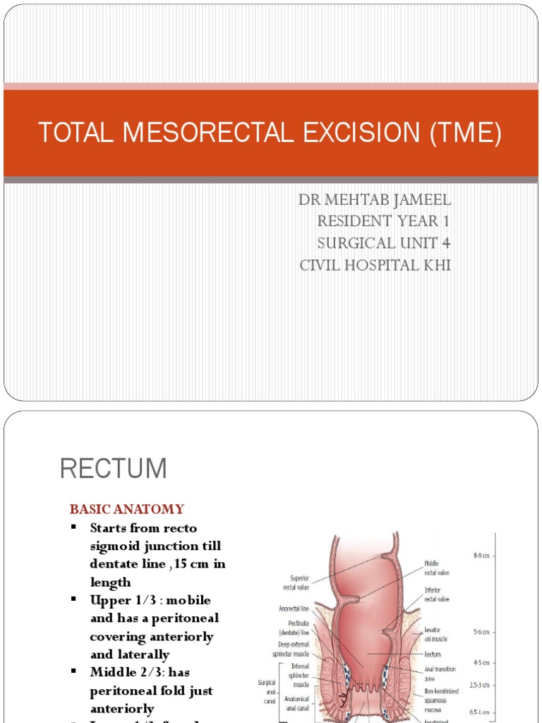 Total Mesorectal Excision (Tme) | PDF | Colorectal Cancer | Rectum