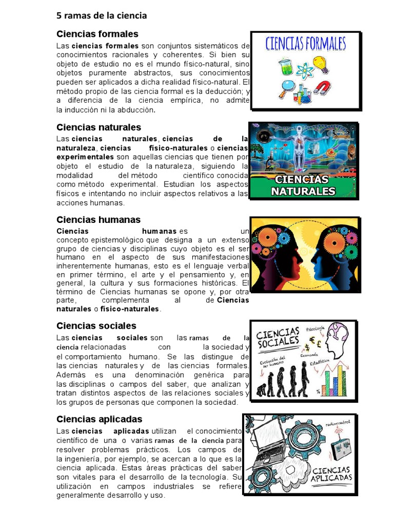 Hoja De Trabajo Sobre Las Ramas De La Ciencia