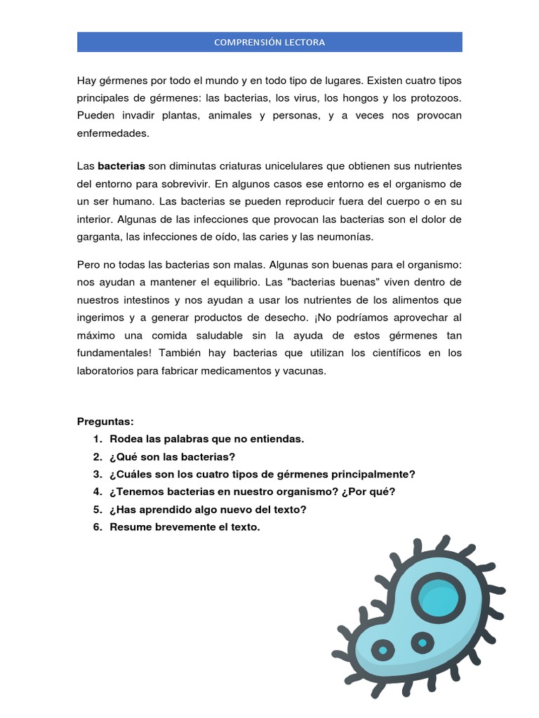 Comprensión De Gérmenes Y Bacterias Pdf Ciencia Y Matemáticas