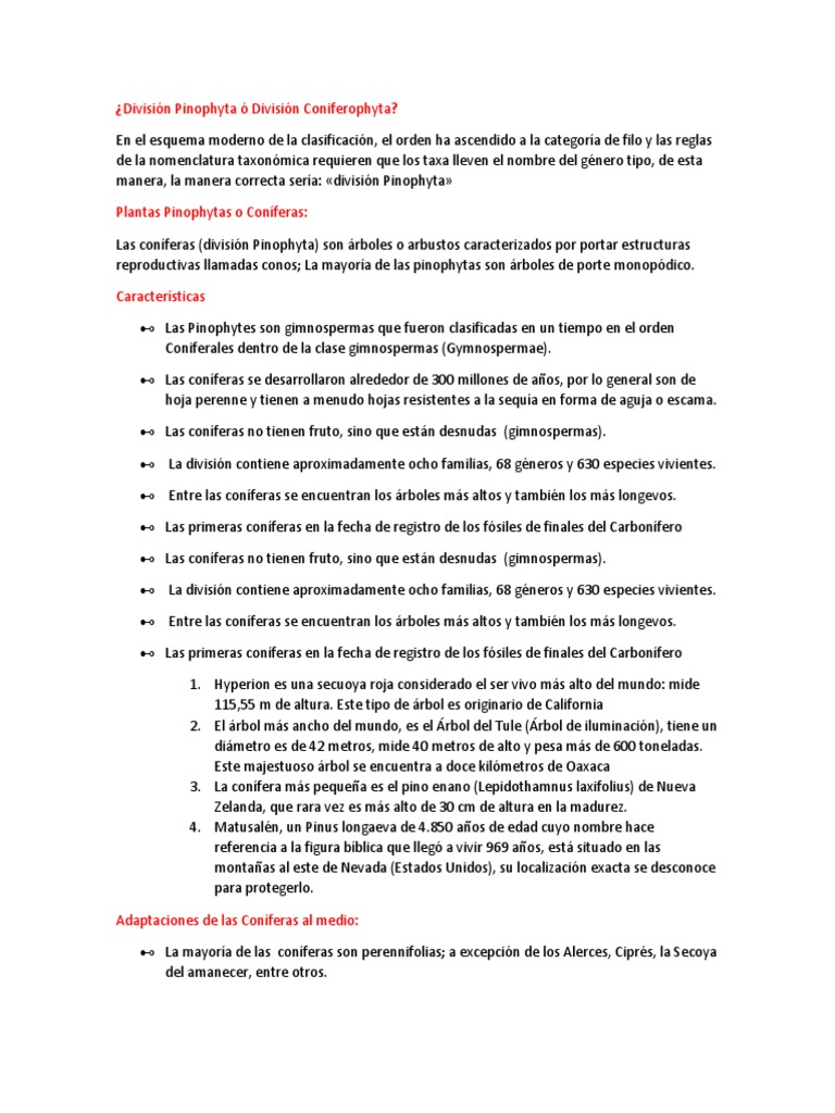 División Pinophyta Ó División Coniferophyta | PDF | Pinophyta | Plantas