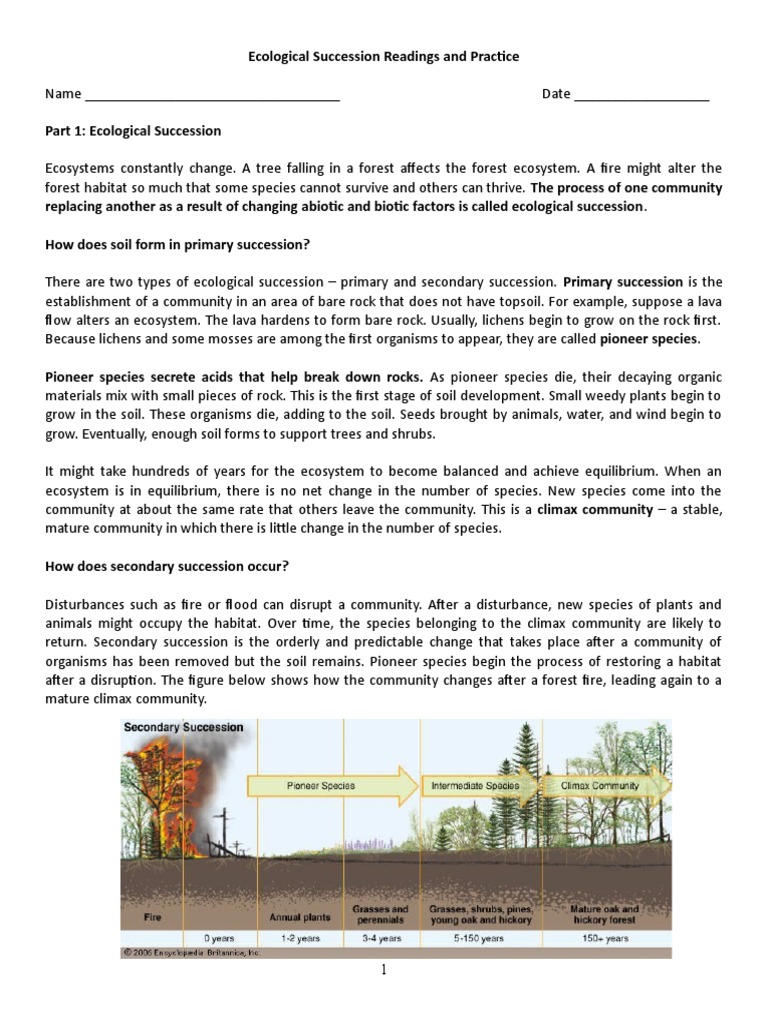 Ecological - Succession-Reading Activity | PDF | Ecosystem | Pond