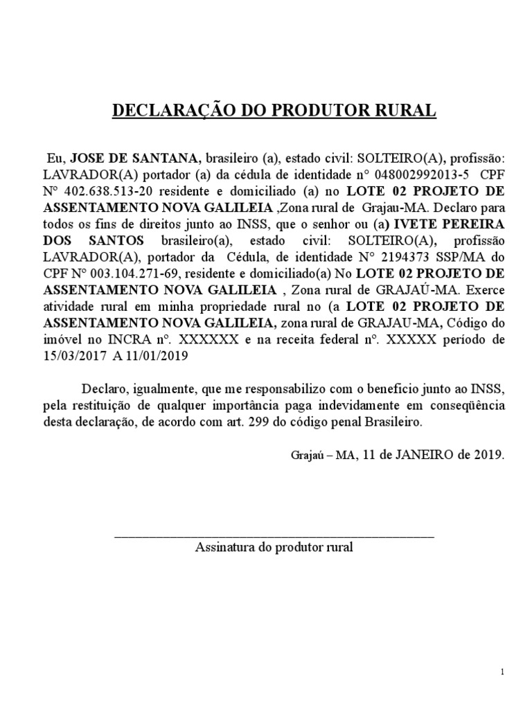 Declaração Do Produtor Rural 2019 | PDF