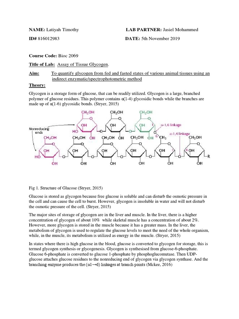 Assay of Tissue Glycogen | PDF | Glycogen | Glucose