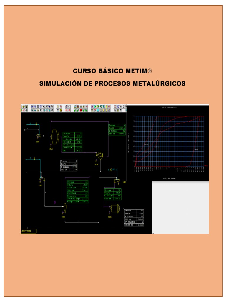 Curso Básico Metsim 2020 | PDF