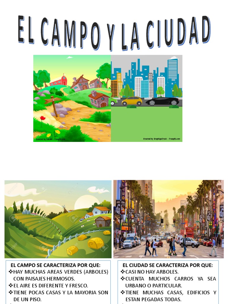 Diferencias Entre Campo Y Ciudad – FLDH
