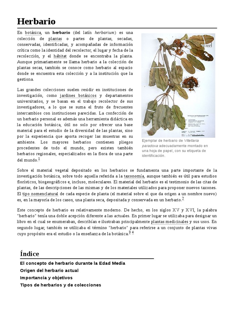 Herbario Pdf Taxa Biología