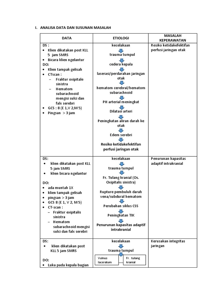 Analisa Data Dan Susunan Masalah Keperawatan | PDF