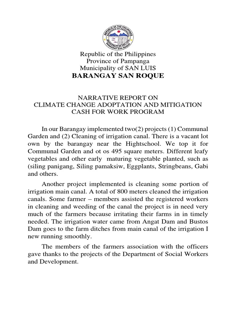 Narrative Report Cash For Work | PDF