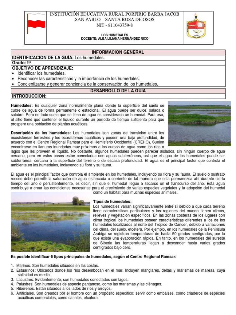 1 Guía 1 Los Humedales | PDF | Humedal | lago